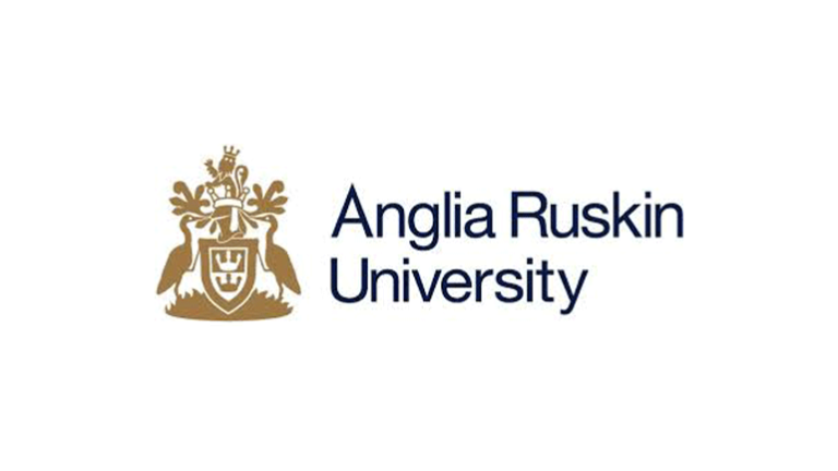 Solution Focused | Business Development Consultancy | Learning